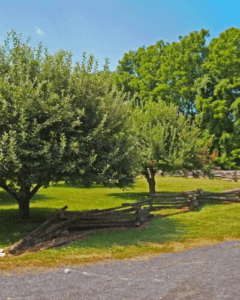 Burnside Plantation | Historic Bethlehem Museums & Sites