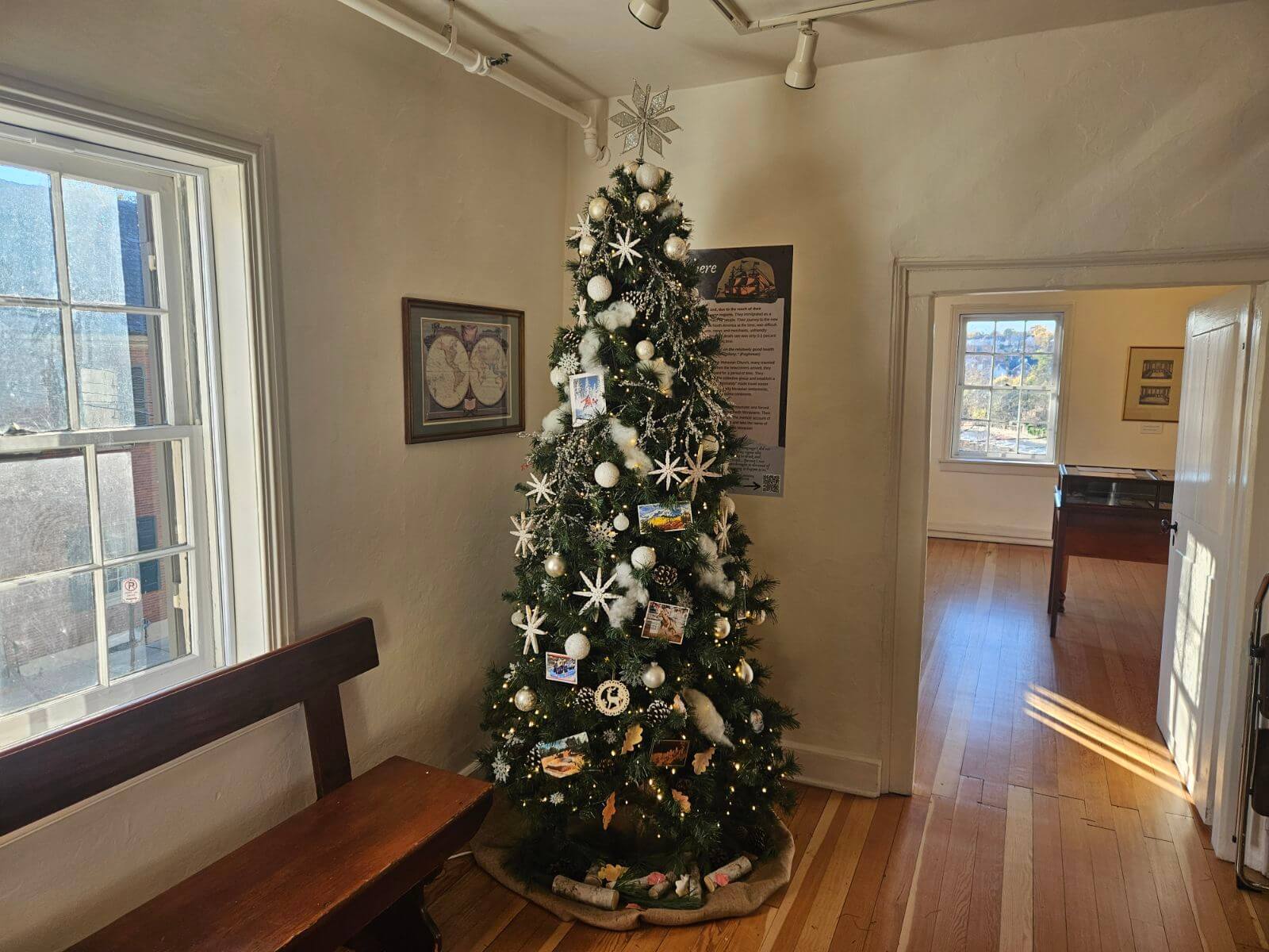 Trees of Historic Bethlehem | Historic Bethlehem Museums & Sites