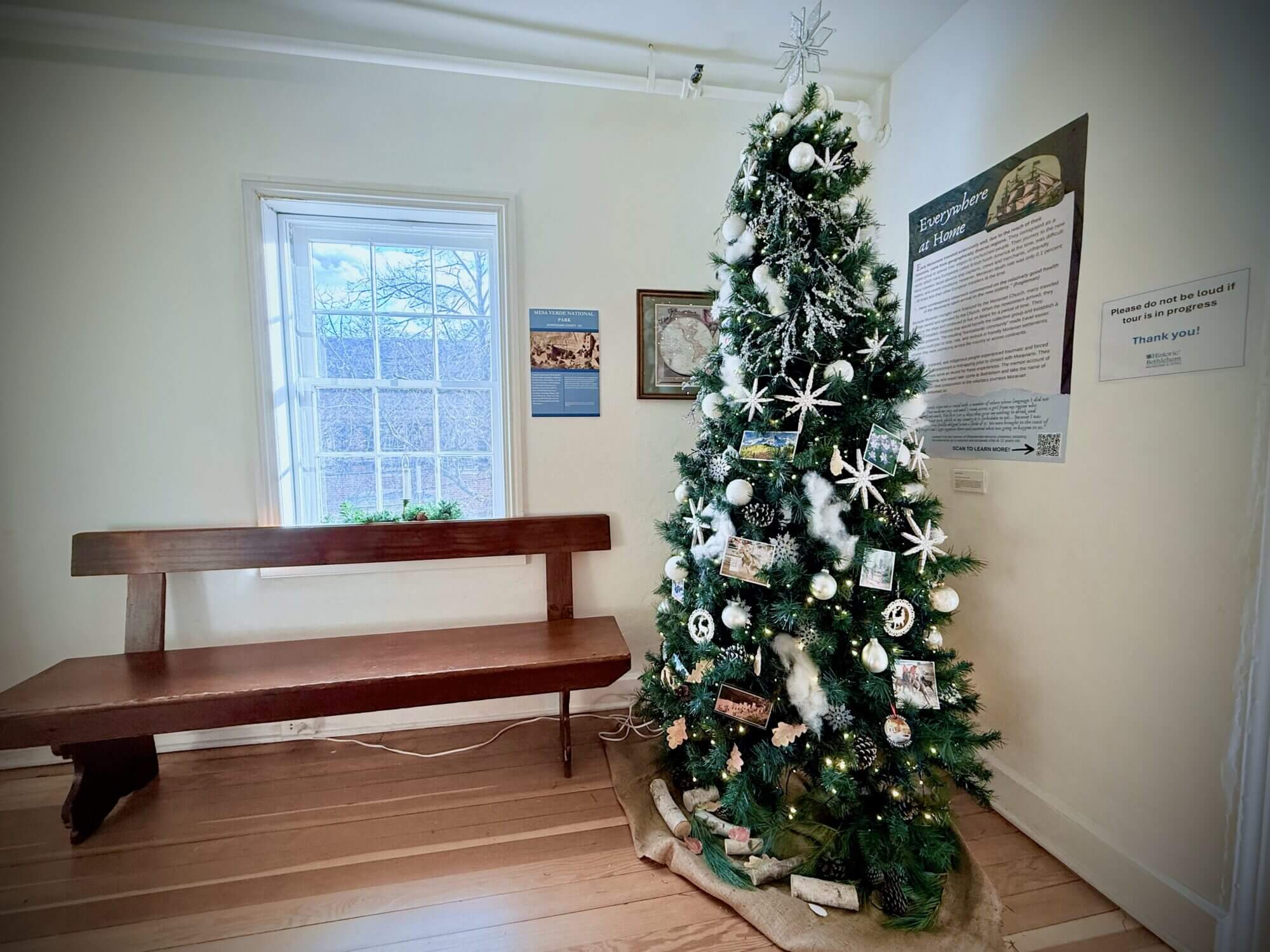 Trees of Historic Bethlehem | Historic Bethlehem Museums & Sites