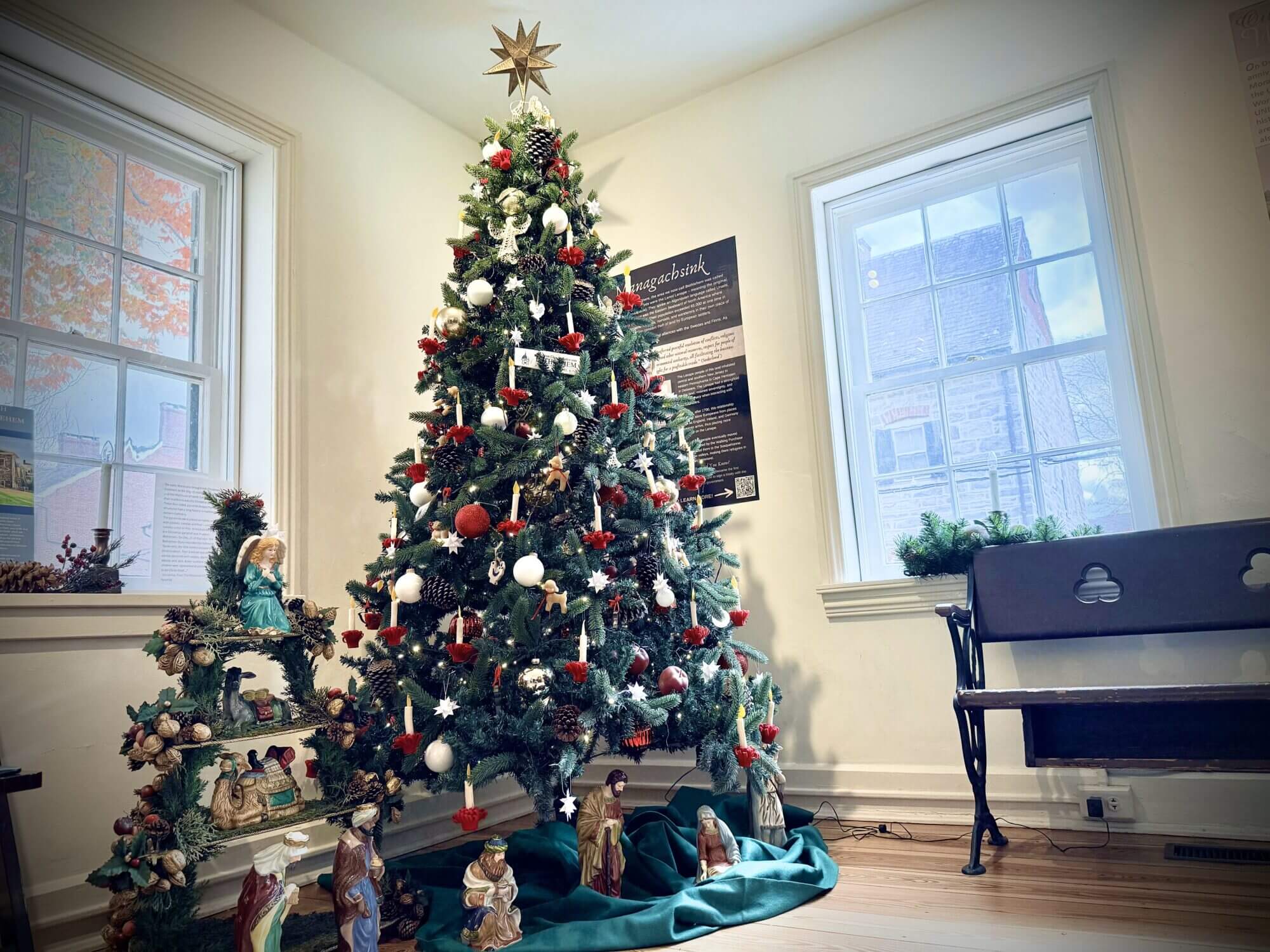 Trees of Historic Bethlehem | Historic Bethlehem Museums & Sites