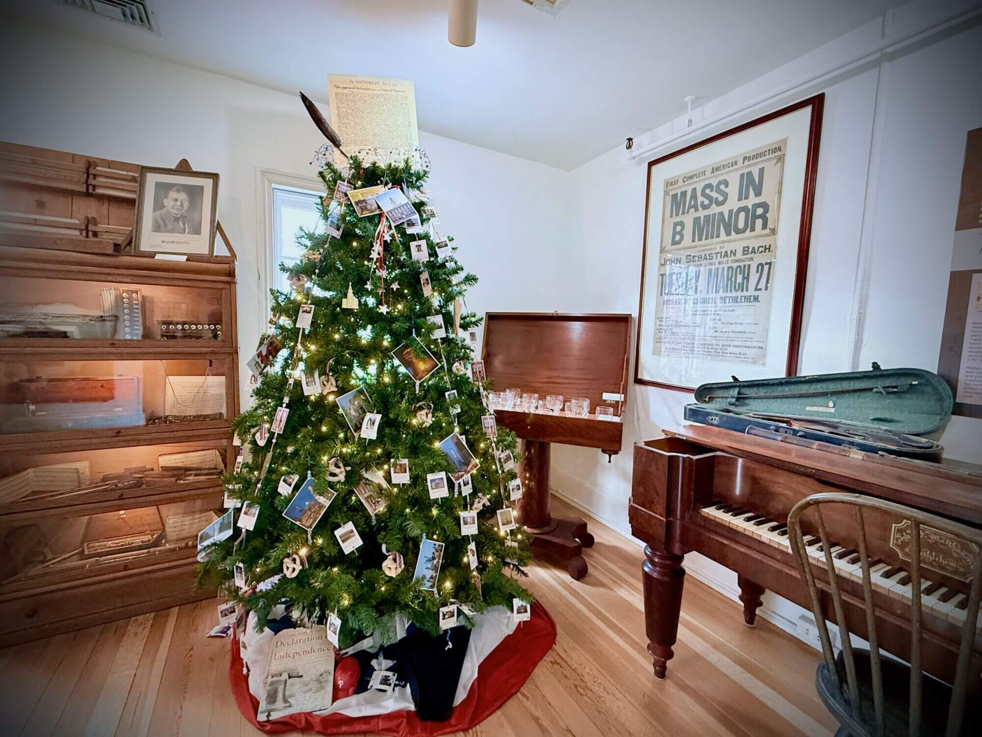 Trees of Historic Bethlehem | Historic Bethlehem Museums & Sites