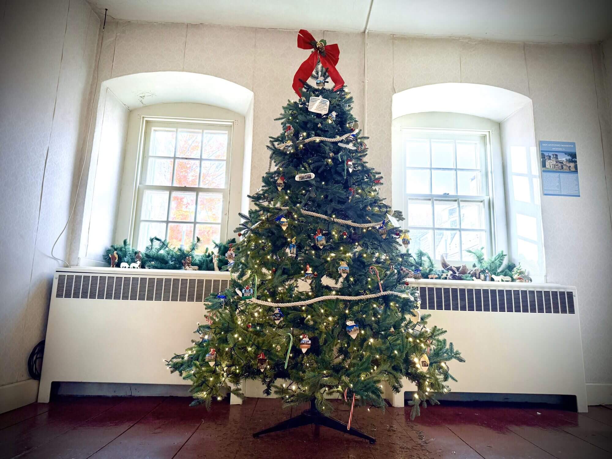 Trees of Historic Bethlehem | Historic Bethlehem Museums & Sites