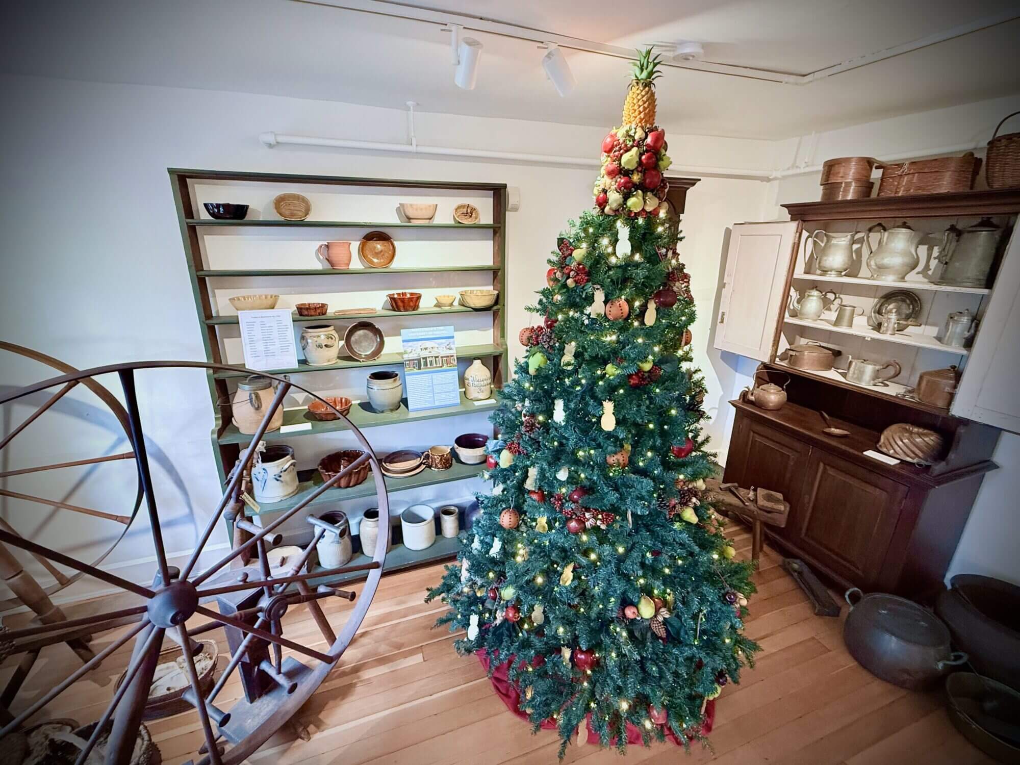 Trees of Historic Bethlehem | Historic Bethlehem Museums & Sites